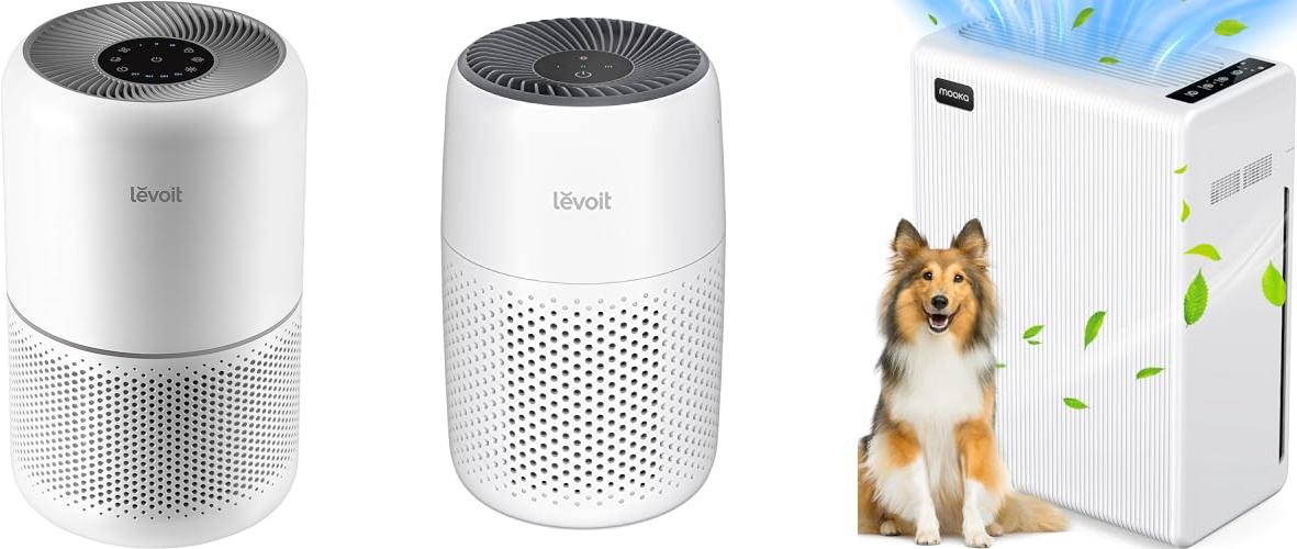 Top 5 Air Purifiers for Cat Dander: Reviews & Buying Guide - AnimalsPick