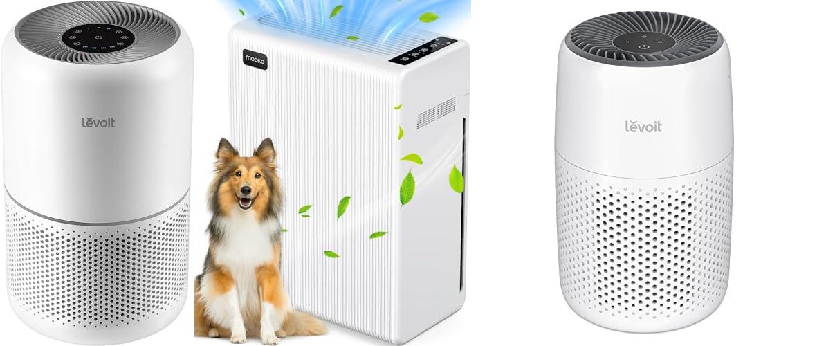 Top 5 Air Purifiers for Cat Hair: Reviews and Buying Guide - AnimalsPick