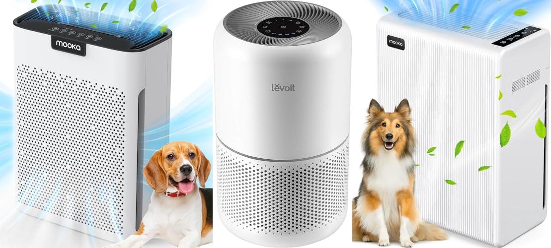 Top 5 Air Purifiers: Your Guide to Conquering Dog Hair & Dander ...