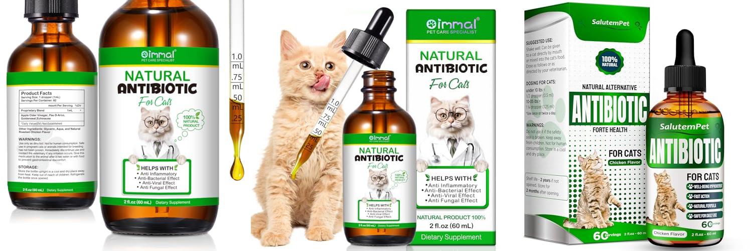 Top 5 Antibiotics for Cat Tooth Abscess: A Vet's Guide & Review ...