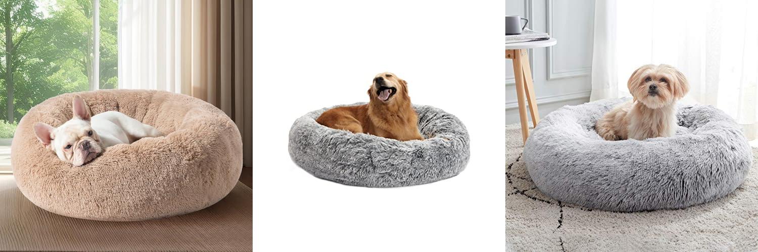 Top 5 Anxiety Dog Beds: Calming Comfort for Your Pup - AnimalsPick