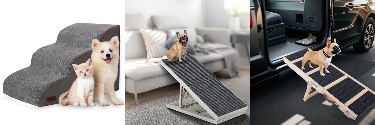 Top 5 Bed Ramps for Small Elderly Dogs: Reviews & Ratings - AnimalsPick