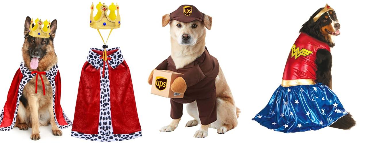 Top 5 Big Dog Costumes: Spooktacular Styles Reviewed & Ranked - AnimalsPick