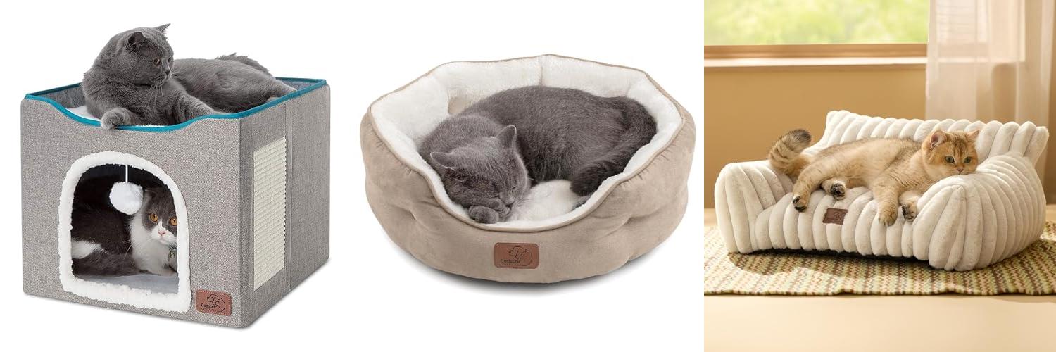 Top 5 Cat Beds for Large Cats: Cozy & Comfy Reviews & Guide - AnimalsPick