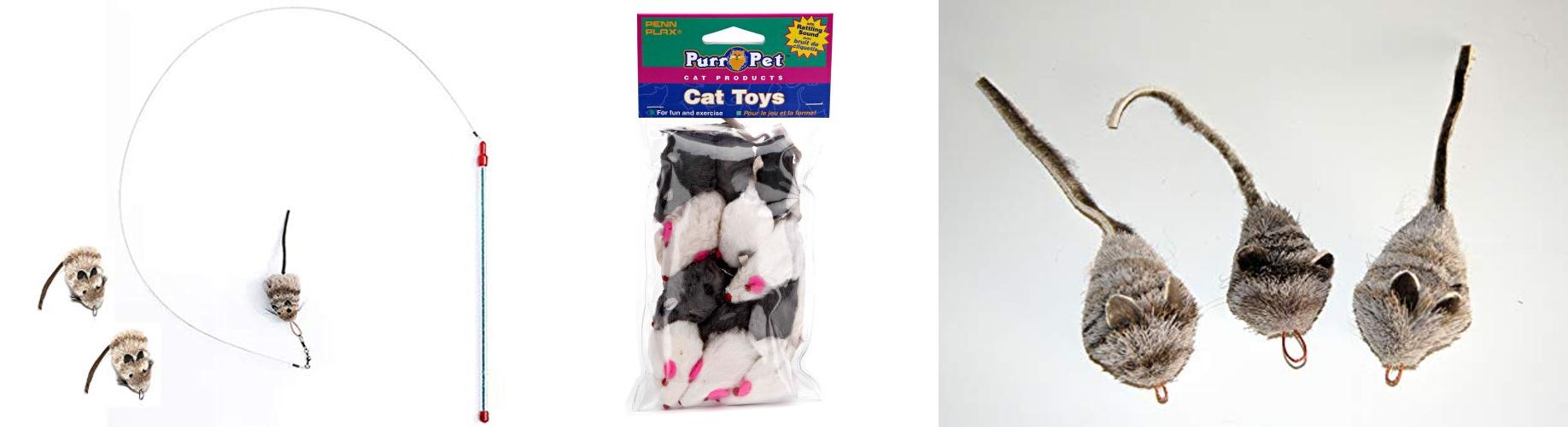 Top 5 Cat Breeds For Catching Mice: A Purrfect Guide Review - AnimalsPick