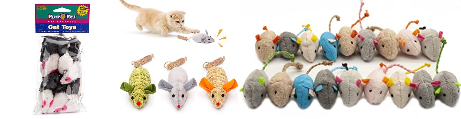 Top 5 Cat Breeds For Mice Control: A Buying Guide Review - AnimalsPick
