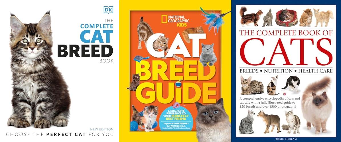 Top 5 Cat Breeds: A Comprehensive Review & Breed Guide - AnimalsPick