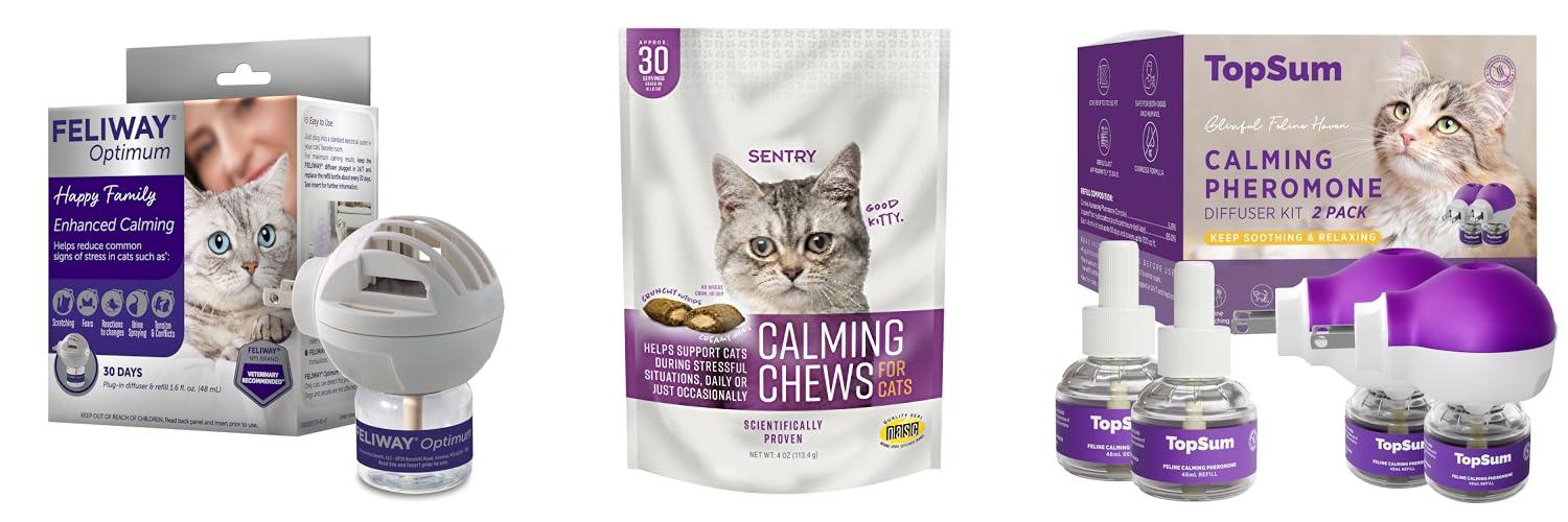 Top 5 Cat Calmer Products: Reviews & Buyer's Guide for Your Cat ...