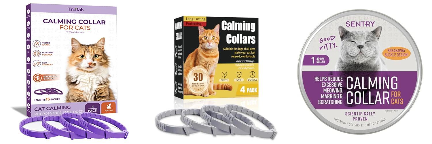 Top 5 Cat Calming Collars: Reviews & Buyer's Guide for Cats - AnimalsPick