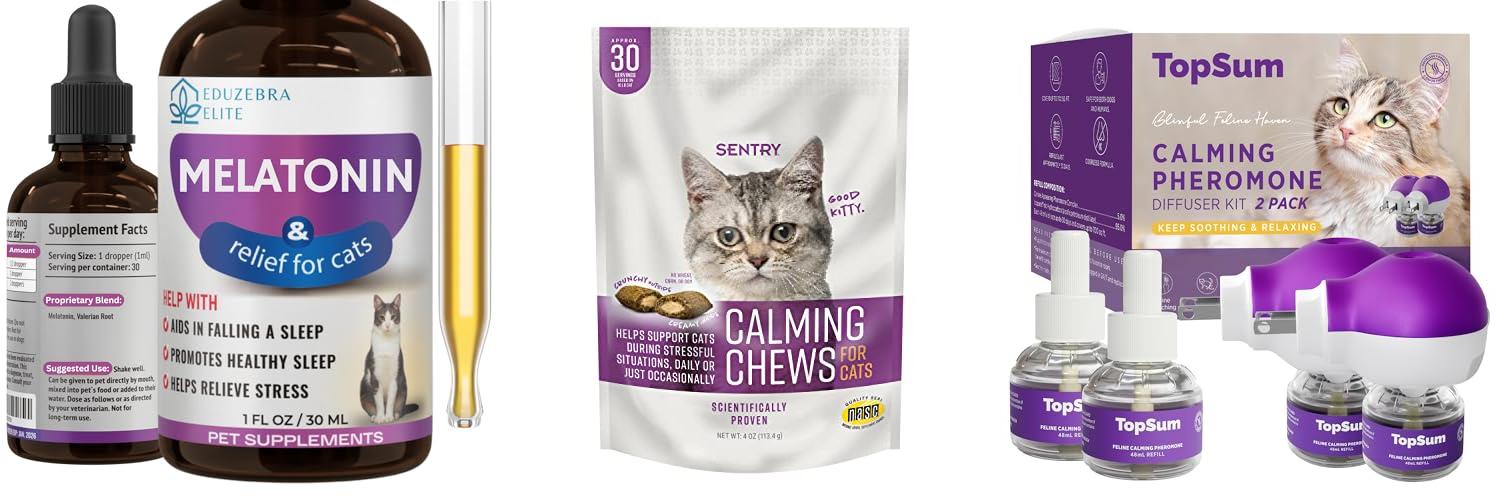 Top 5 Cat Calming Products: Reviews & Buyer's Guide for Felines ...