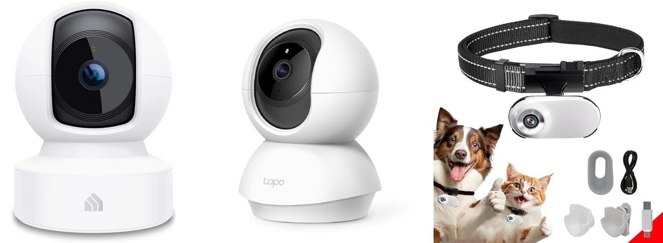 Top 5 Cat Cams: Reviews & Buying Guide For Your Feline Friend - AnimalsPick