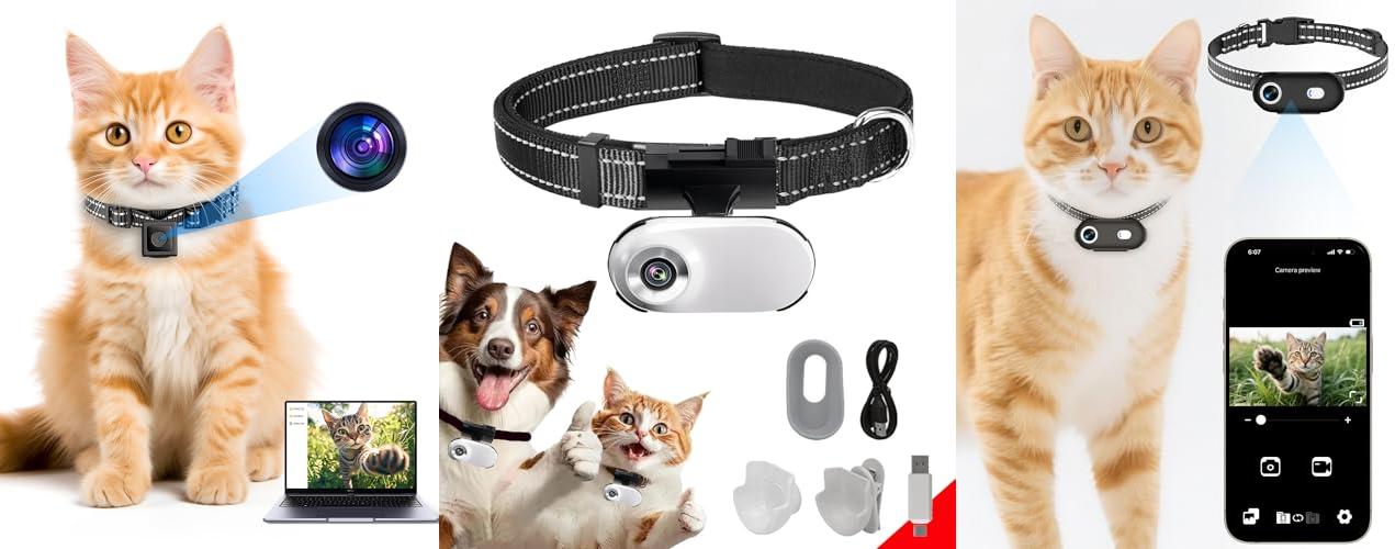 Top 5 Cat Camera Collars: Reviews & Ultimate Buying Guide - AnimalsPick