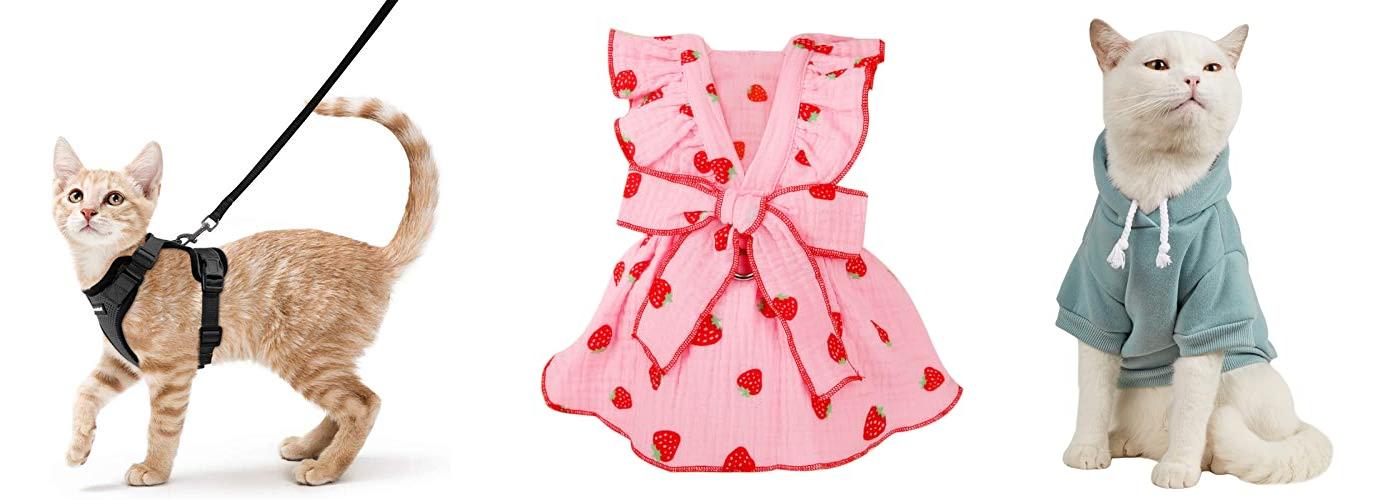 Top 5 Cat Clothes: Reviews & The Purrfect Wardrobe Guide - AnimalsPick