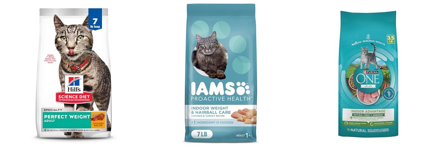 Top 5 Cat Diet Foods: Reviews & Feeding Guide for Optimal Health ...