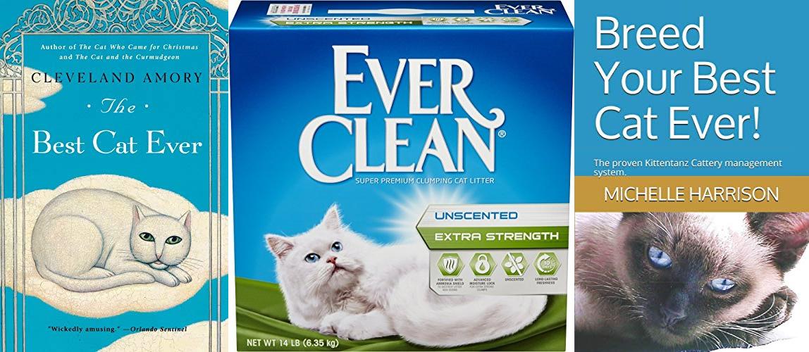 Top 5 Cat Ever Products: Reviews & Buying Guide for Cats - AnimalsPick