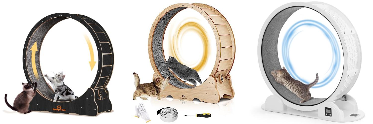 Top 5 Cat Wheels: Reviews & Ultimate Buying Guide - AnimalsPick