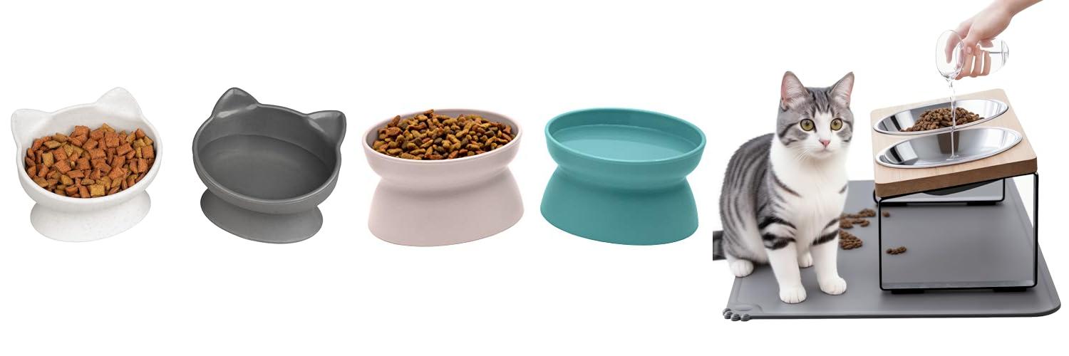 Top 5 Cat Feeding Bowls: Reviews & Buying Guide for Your Feline ...