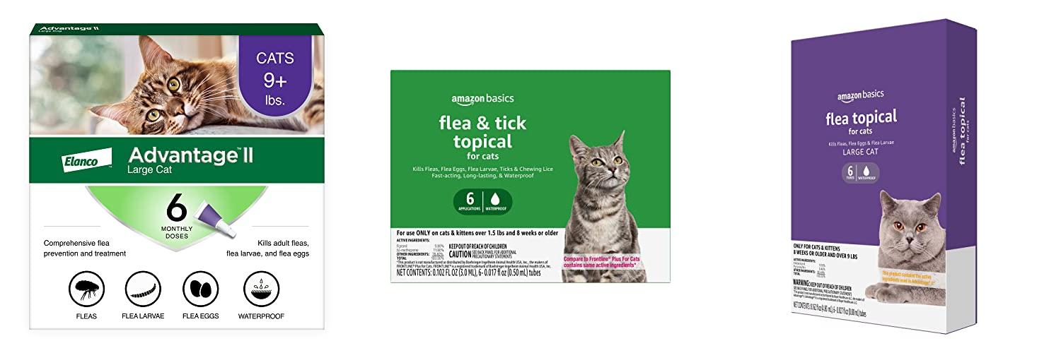 Top 5 Cat Flea Treatments: Reviews & Buying Guide for Cats - AnimalsPick