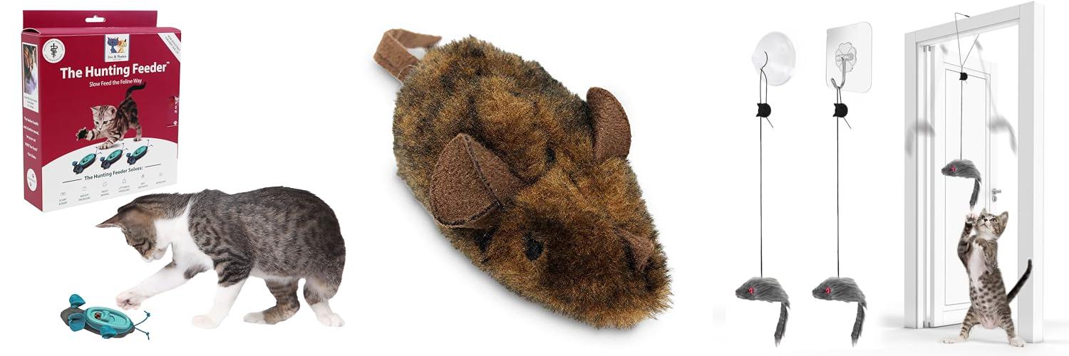 Top 5 Cats For Mice Hunting: Breeds That Excel & Reviews - AnimalsPick