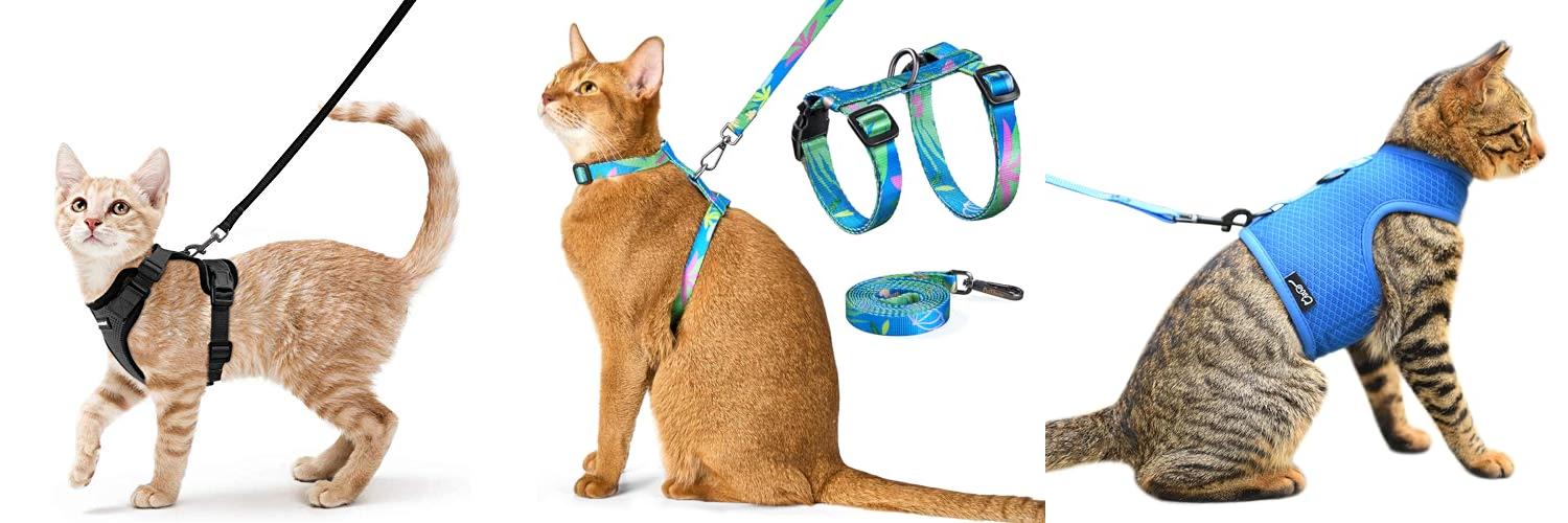 Top 5 Escape Proof Cat Harnesses: Reviews & Buying Guide - AnimalsPick