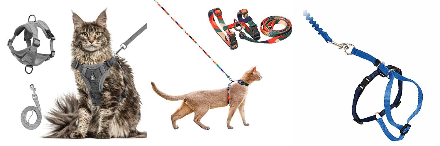 Top 5 Cat Harnesses for Large Cats: Reviews & Buying Guide - AnimalsPick