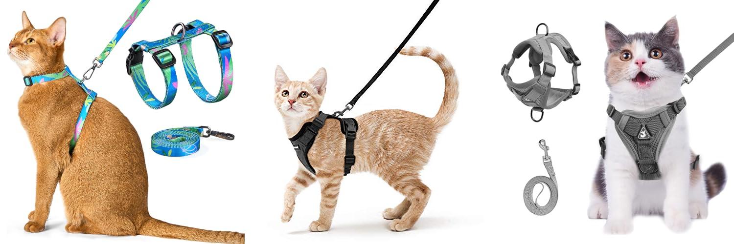 Top 5 Cat Harness Leashes: Reviews & Best Choices for Your Kitty ...