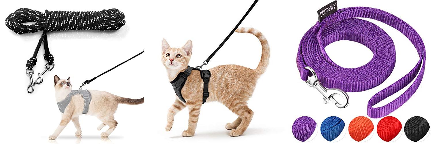 Top 5 Cat Leashes: Reviews & Guide for Safe Outdoor Adventures ...