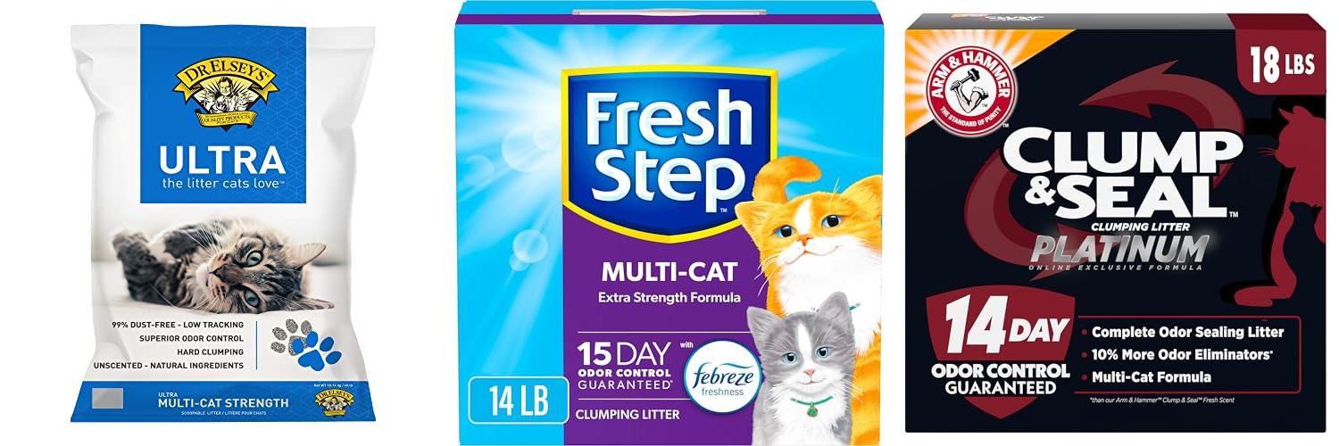 Top 5 Cat Litters That Don't Smell: Reviews & Buyer's Guide - AnimalsPick