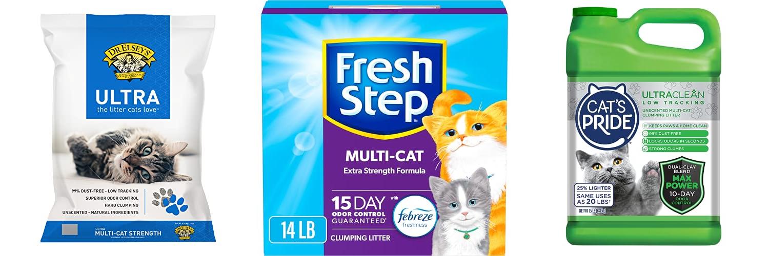 Top 5 Cat Litters at Walmart: Reviews & Buying Guide for Cats - AnimalsPick