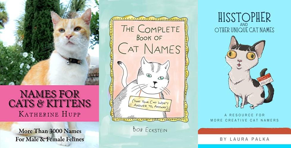 Top 5 Cat Names: A Purrfect Guide to Choosing the Best! - AnimalsPick