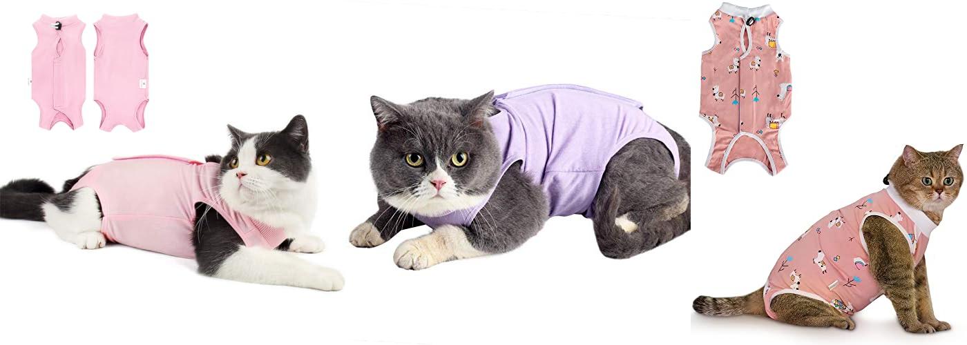 Top 5 Cat Recovery Suits: Reviews & Buying Guide for Your Feline ...