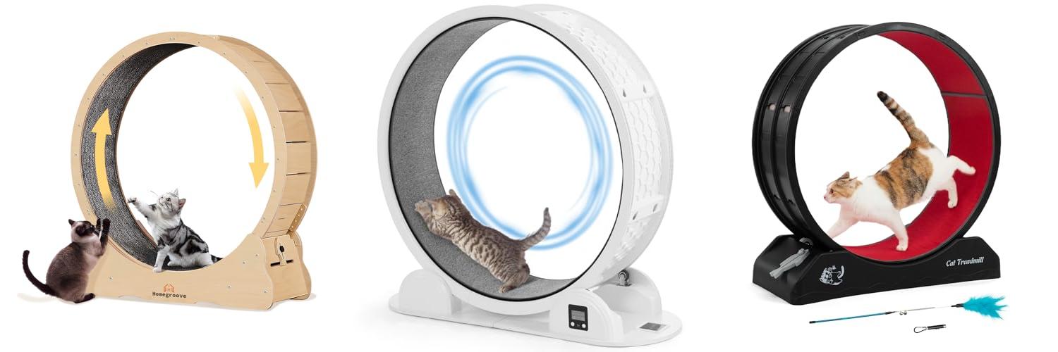 Top 5 Cat Running Wheels: Reviews, Comparisons & Buying Guide - AnimalsPick