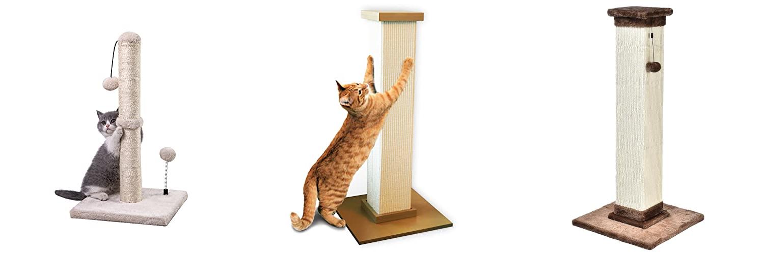 Top 5 Cat Scratching Posts: Reviews & Buyer’s Guide for Cats - AnimalsPick
