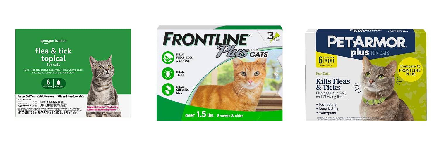 Top 5 Cat Tick Preventatives: Protect Your Feline Friend Now! - AnimalsPick