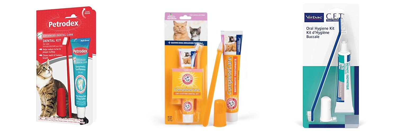 Top 5 Cat Toothpastes: Reviews & Expert Guide to Healthy Gums - AnimalsPick