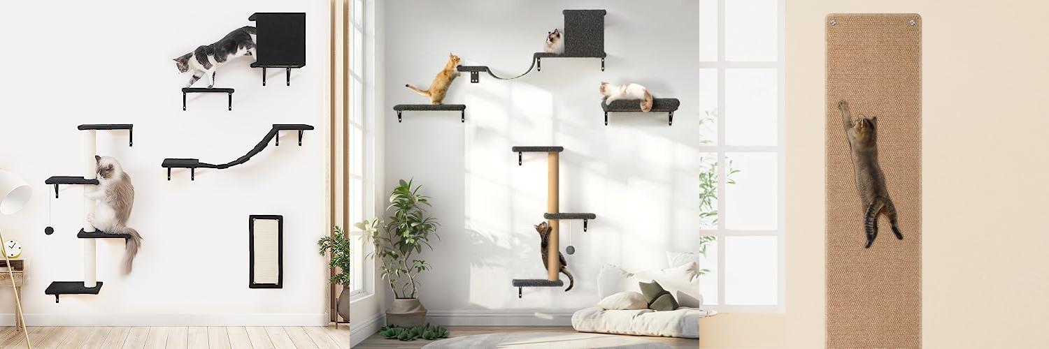Top 5 Cat Wall Systems: Reviews & Your Cat's Dream Climb - AnimalsPick