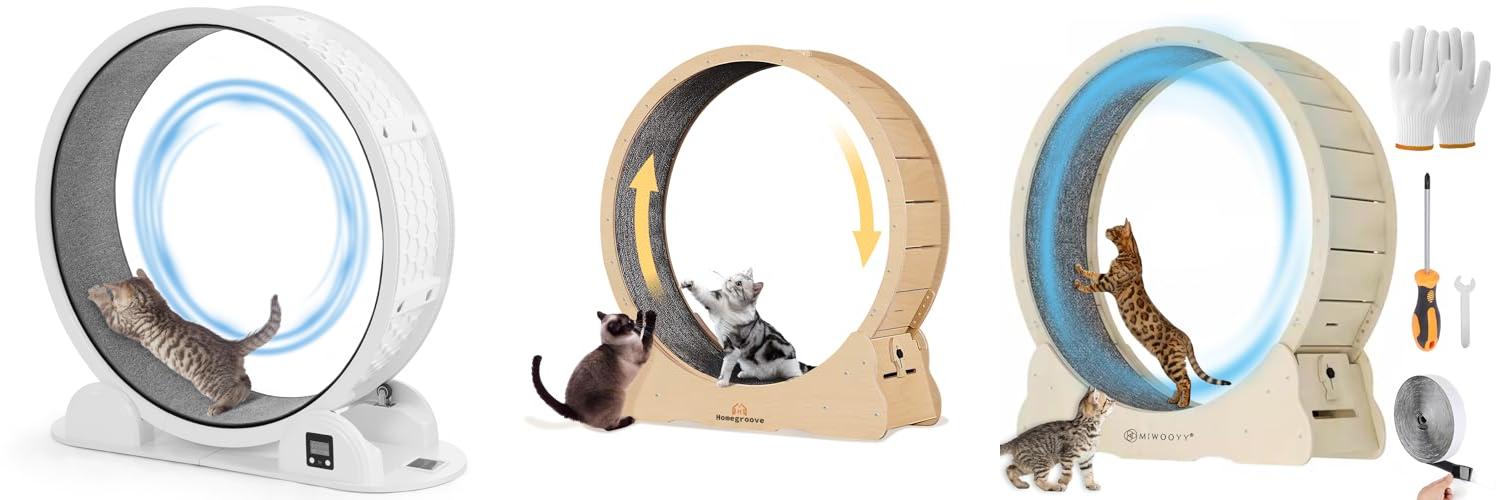 Top 5 Cat Wheels for Bengals: Reviews & Buyer's Guide Secrets - AnimalsPick