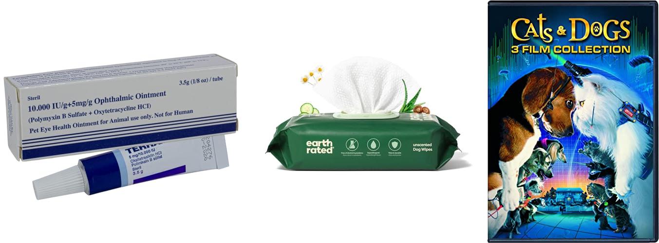 Top 5 Cat With Dogs: Best Products to Keep Them Safe - AnimalsPick