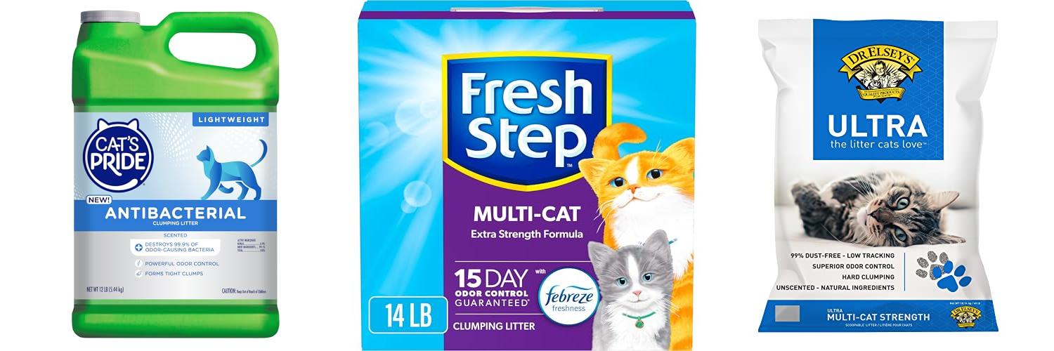 Top 5 Cheap Cat Litter Brands: Reviews & Budget-Friendly Choices ...