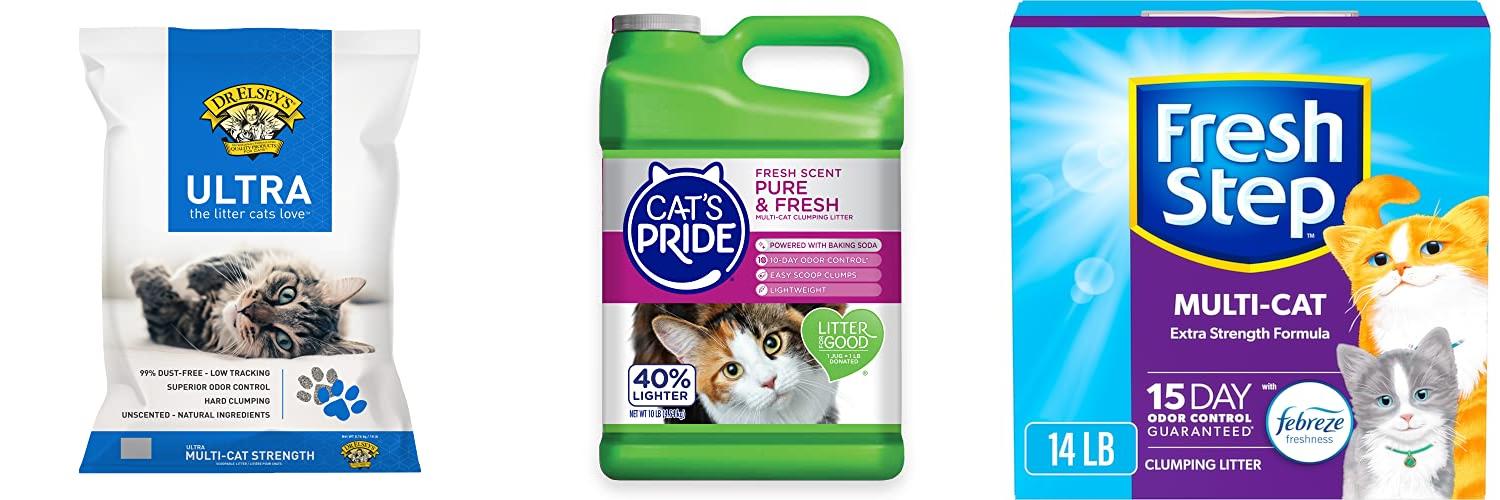 Top 5 Cheapest Cat Litters: Reviews & Buyer's Guide for Savings ...