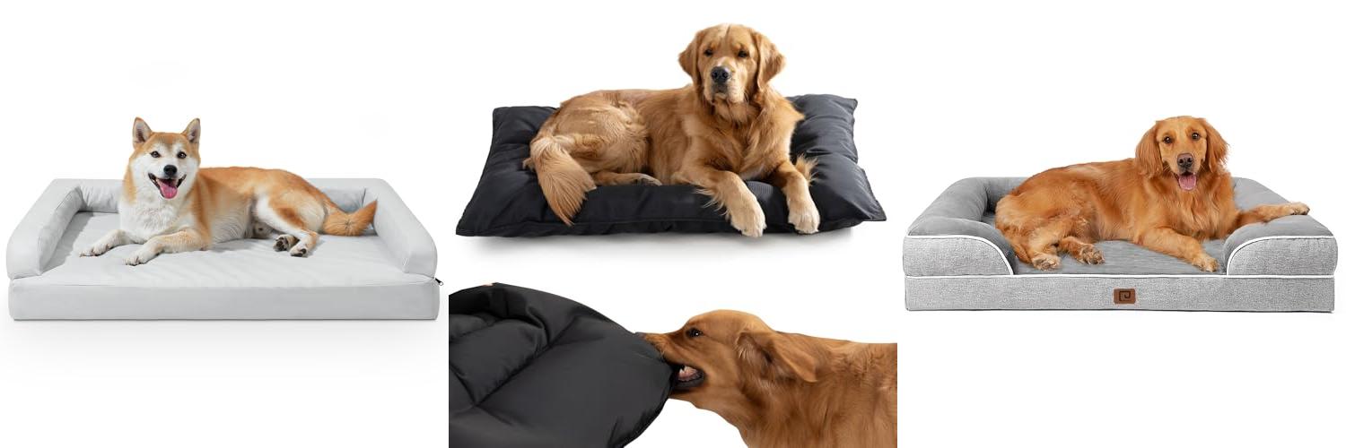 Top 5 Chew Proof Dog Beds: Reviews & Buyer's Guide - AnimalsPick