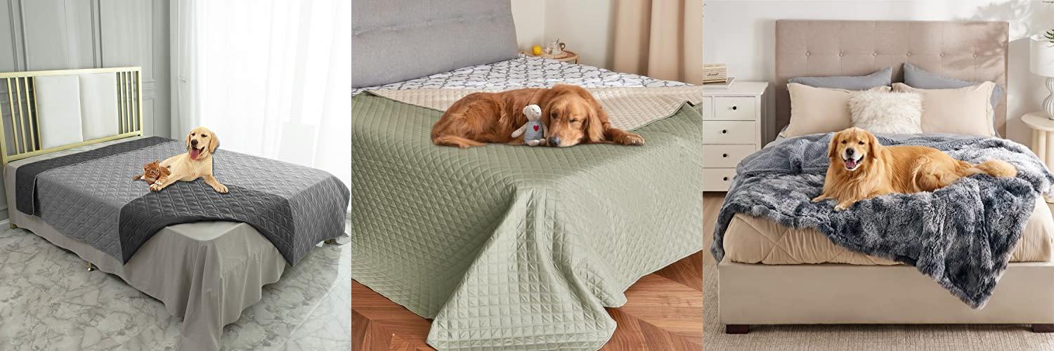 Comforter That Repels Dog Hair