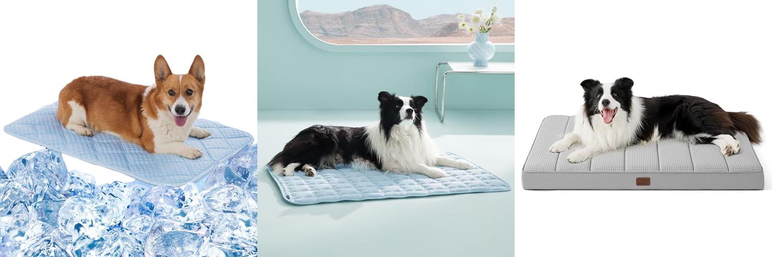 Top 5 Cooling Mats for Dog Crates: Beat the Heat This Summer - AnimalsPick