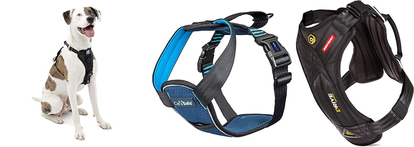 Top 5 Crash Tested Dog Harnesses: Safety & Comfort Reviewed - AnimalsPick