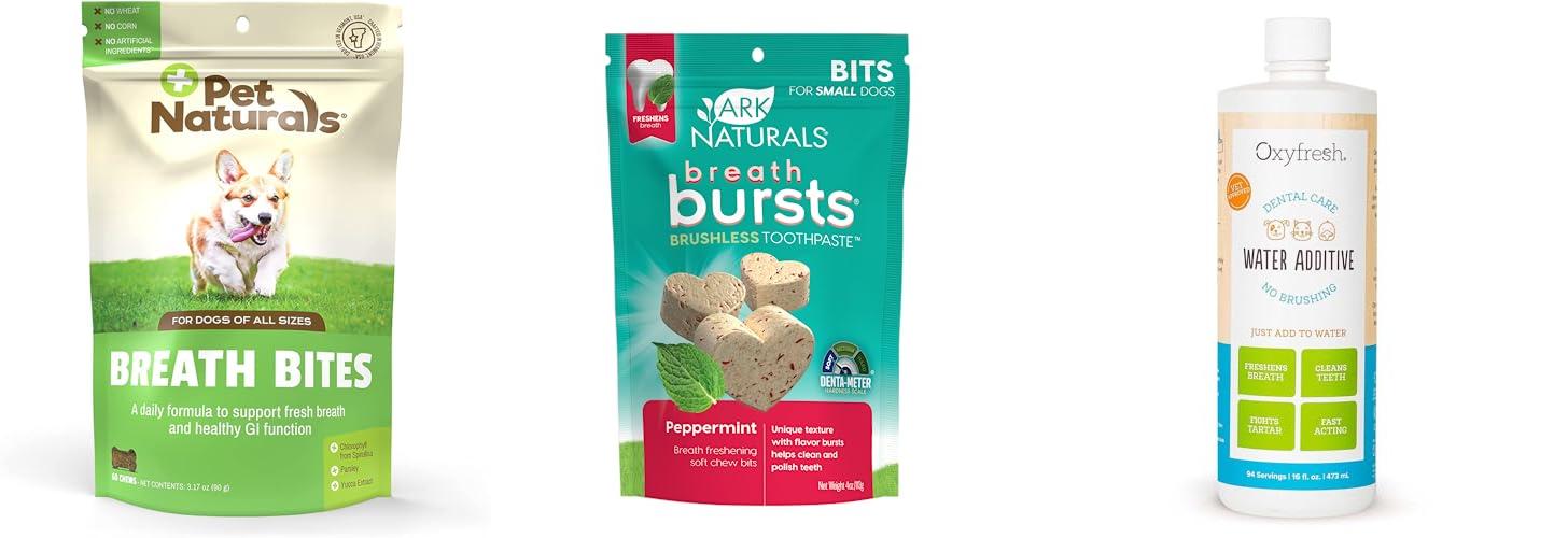 Top 5 Best Cures For Dog Breath: A Comprehensive Guide & Review ...