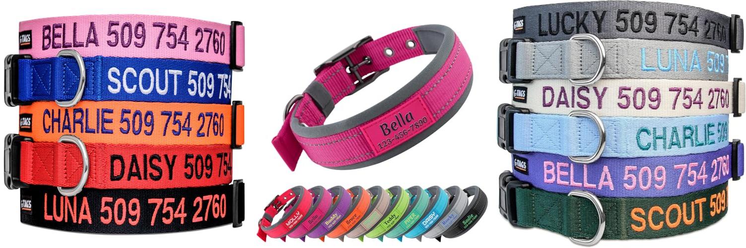 Top 5 Custom Dog Collars: Reviews & Style Guide for Your Pup - AnimalsPick