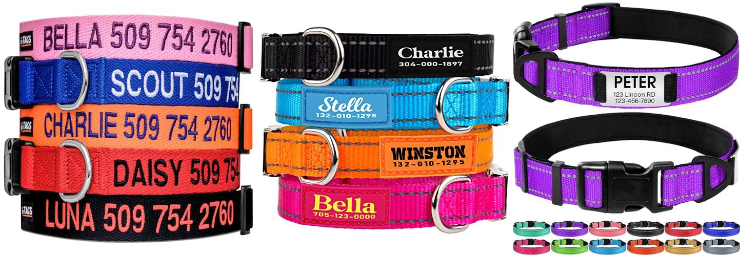 Top 5 Customized Dog Collars: Stylish & Durable Reviews - AnimalsPick