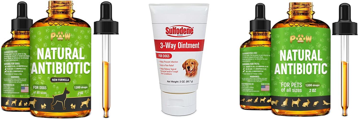 Top 5 Dog Antibiotics Without Vet: A Comprehensive Review Guide ...