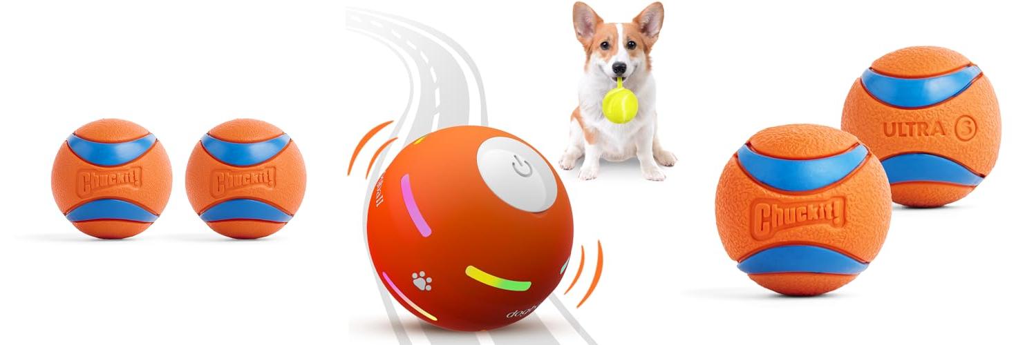 Top 5 Dog Balls: Reviews & The Best For Your Canine Companion - AnimalsPick