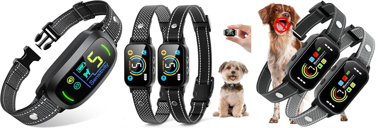 Top 5 Best Bark Collars for Small Dogs: Reviews & Buyer's Guide ...